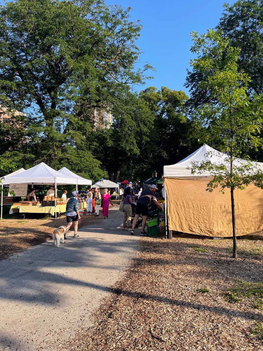 Spring in Chicago: What to Expect, Pack & Do for the Best Trip