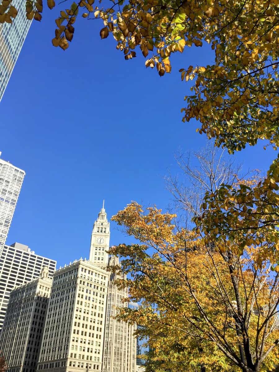 Chicago Fall Guide: Weather, What to Take & Top Things to Do